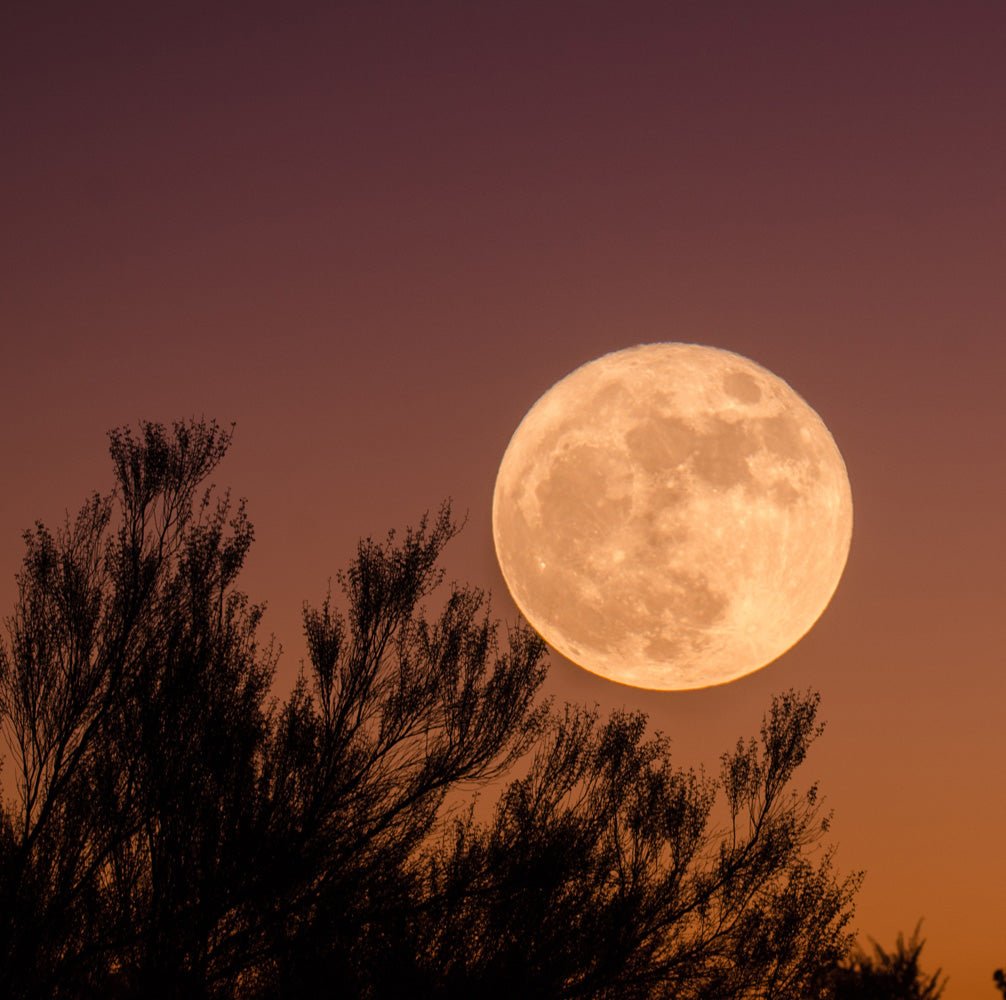 Embracing Stillness Within the Full Moon's Wild Dance – Ananda Hum
